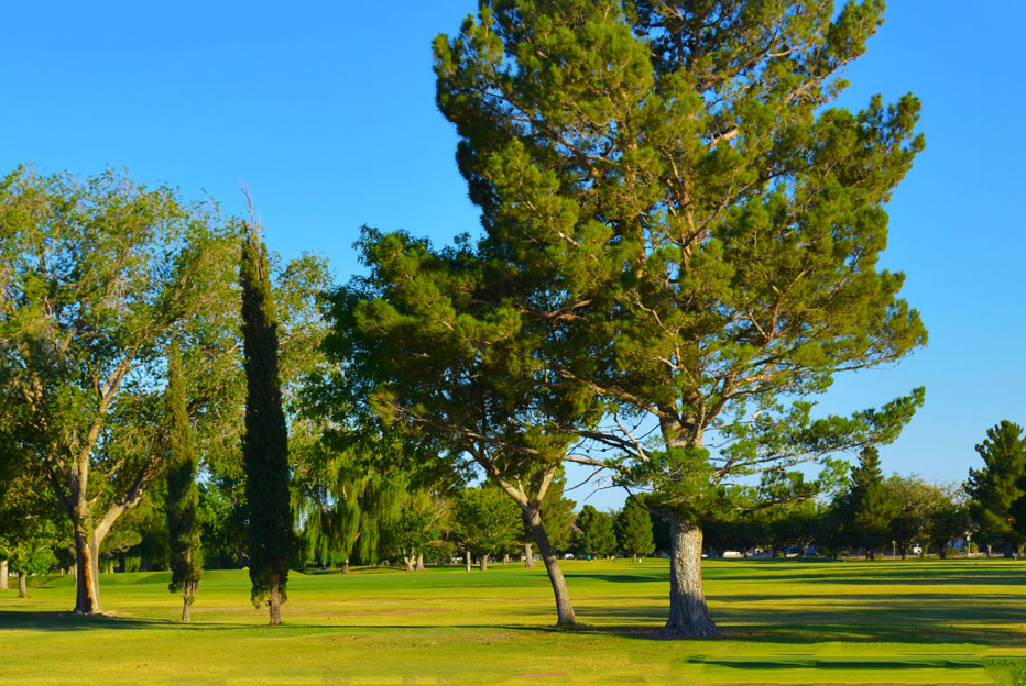 Associations - Lone Star Golf Club